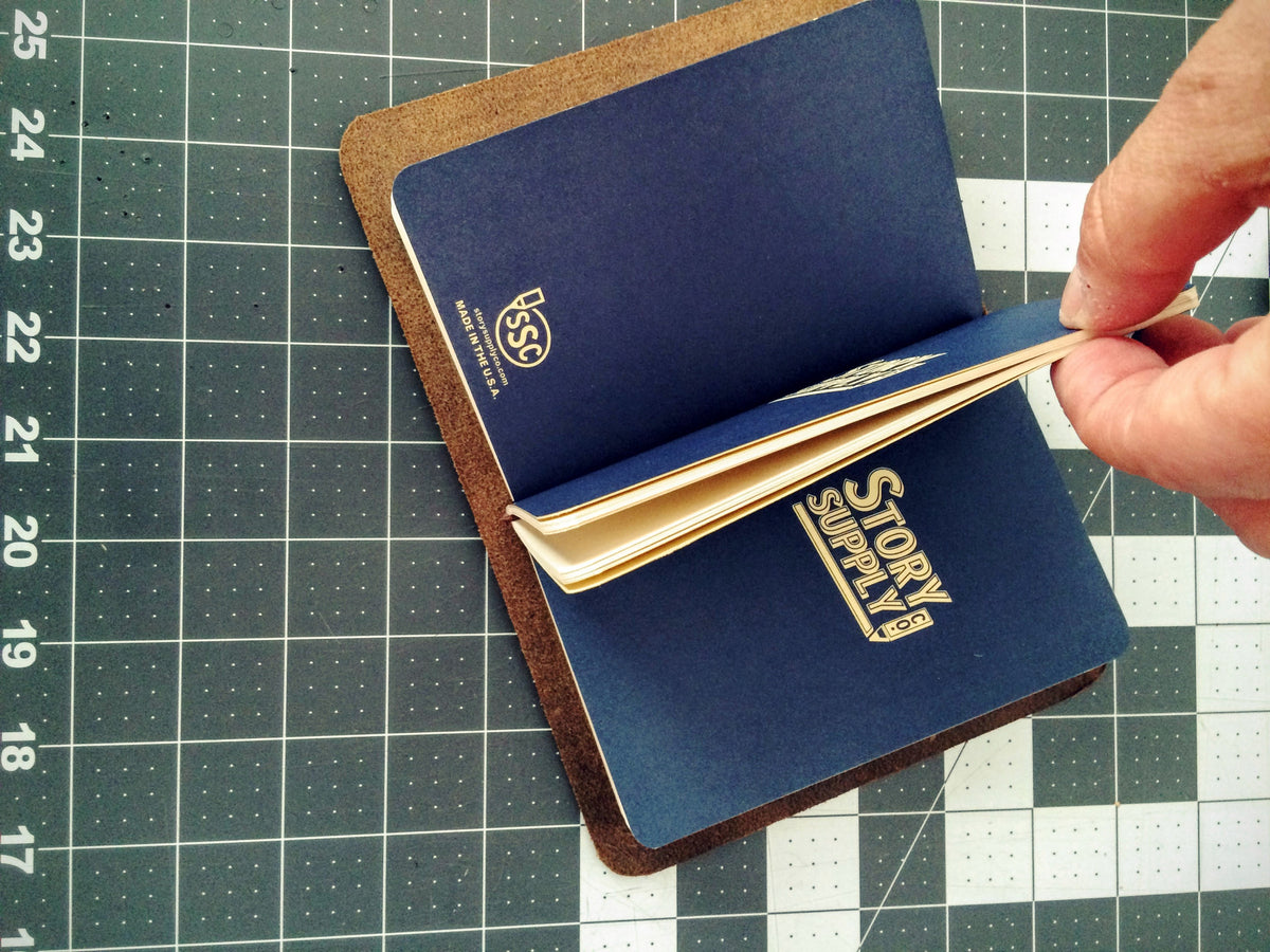 How to use multiple inserts with your Simple Plot Notebook – Story ...