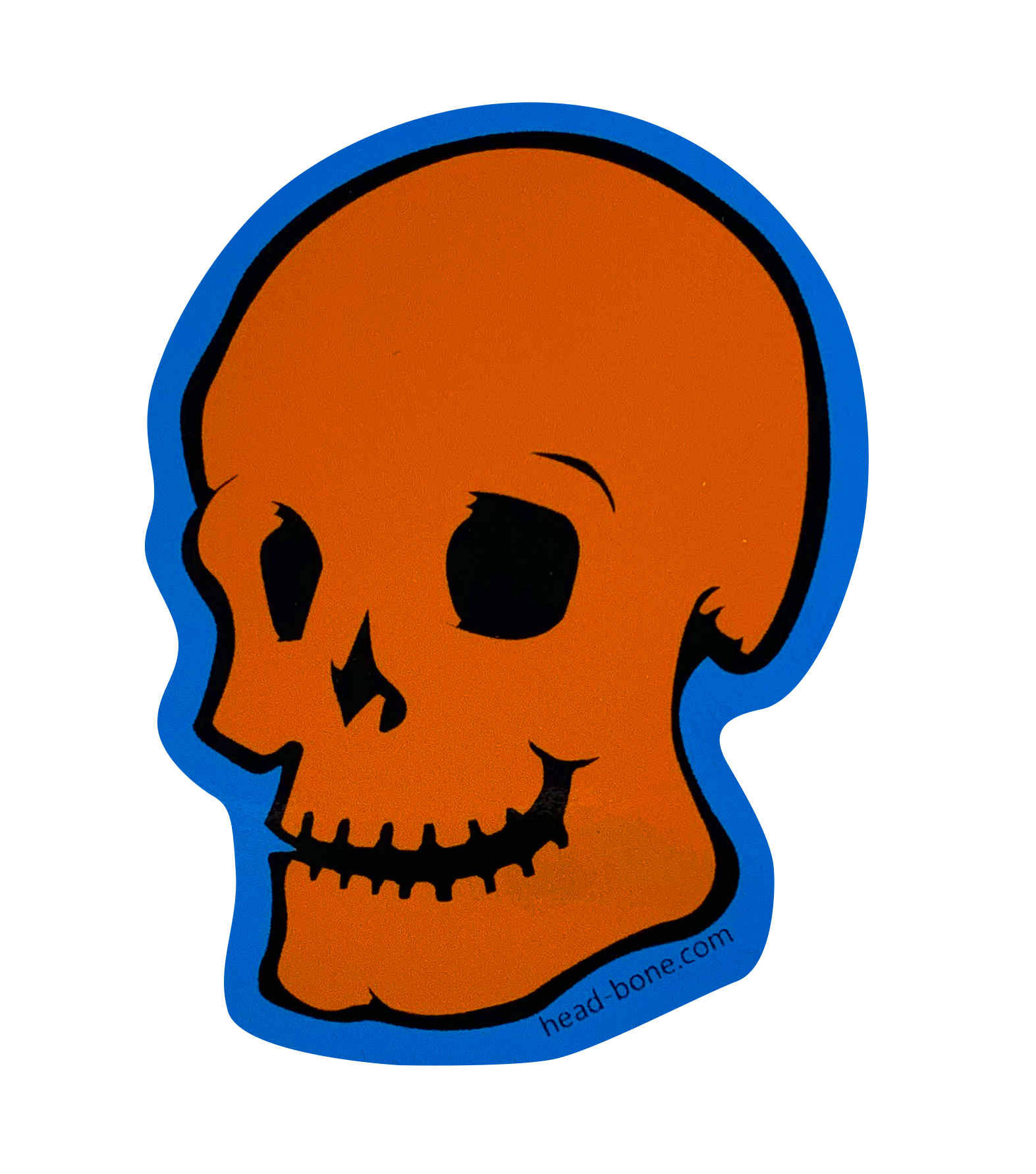 Head Bone Sticker Pack – Story Supply Co.